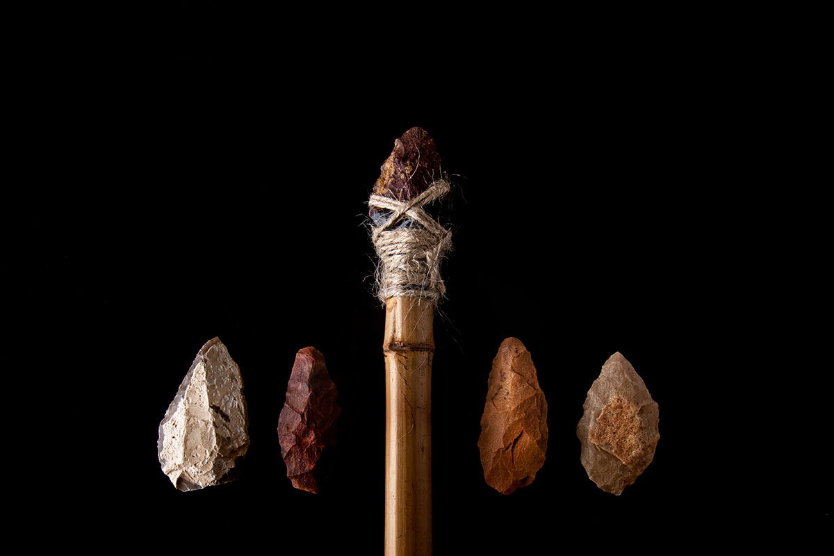 Van vuistbijl tot harpoen: de evolutie van werktuigen in de prehistorie ...